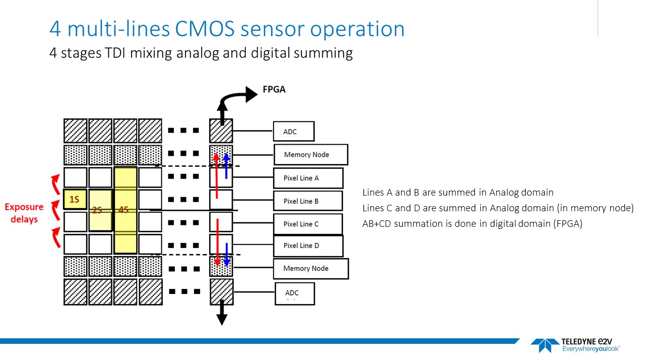 Teledyne e2v 라인스캔카메라- 다중라인 CMOS기술, 높은라인속도를 자랑 ELiiXA+ line sacn camera ...